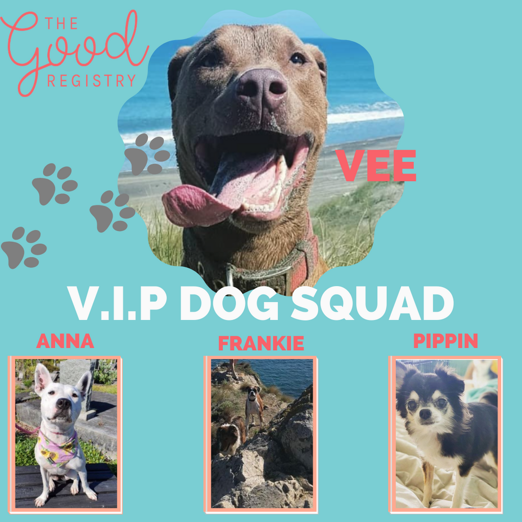 Dogs Doing Good The V I P Dog Squad The Good Registry dogs-doing-good-the-v-i-p-dog-squad-the-good-registry